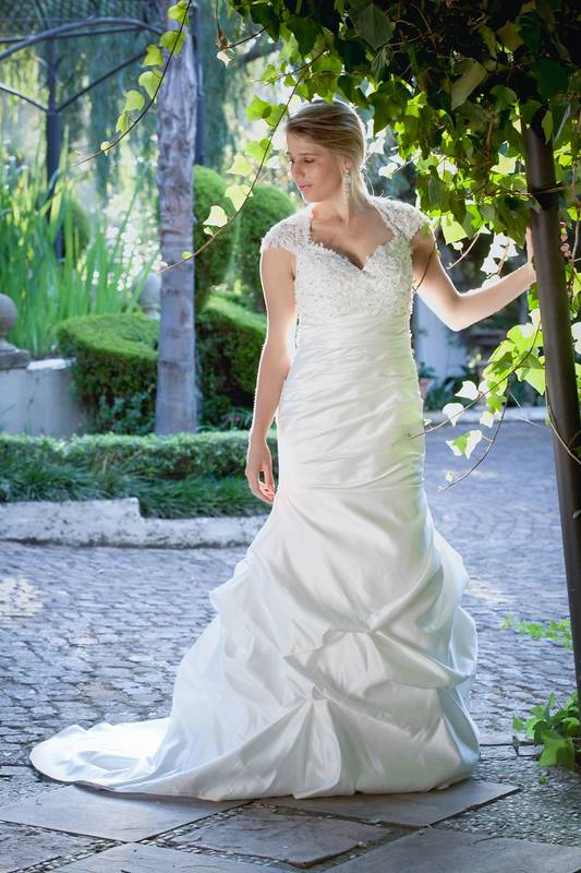 Bride-Zilla - Wedding Dresses - PartiesAndCelebrations